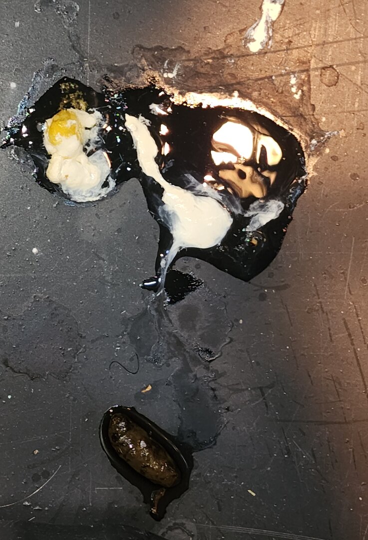 Metronidazole- blood before urate/poop | Chameleon Forums